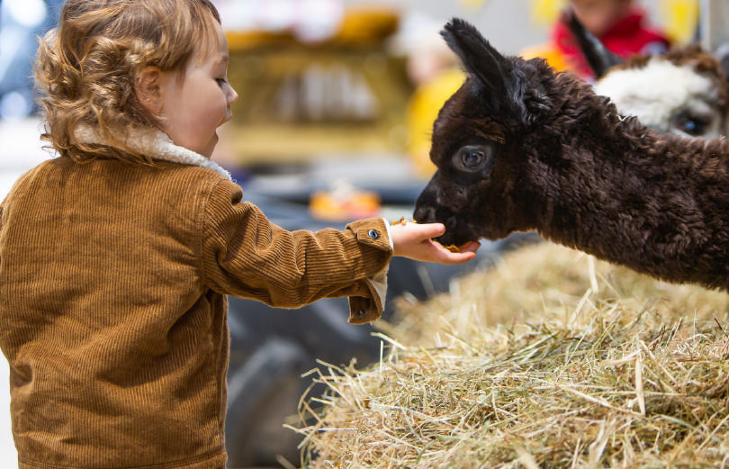 Farm Tours - Ravens Gully